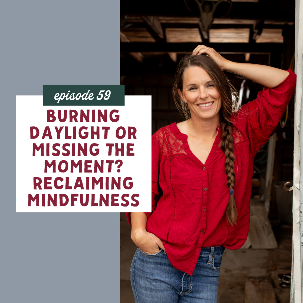 Reclaiming Mindfulness [episode 59]